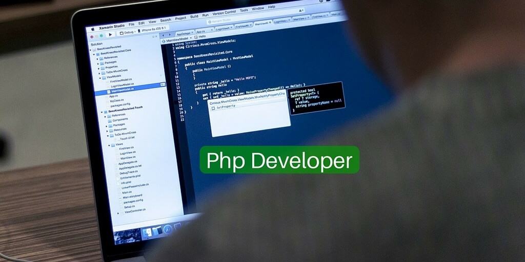 Angajam Programator PHP Baia Mare la Gomag